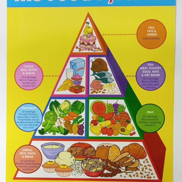 Food Pyramid Chart Poster Healthy Eating Pyramid Chart Stock