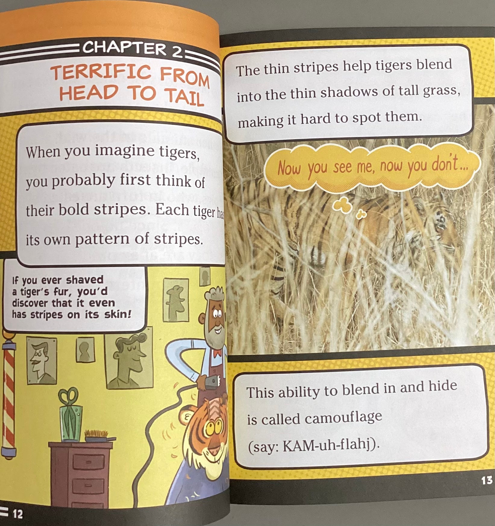 Ready To Read - Level 2 - Super Facts For Super Kids - Tiger Can't Pur