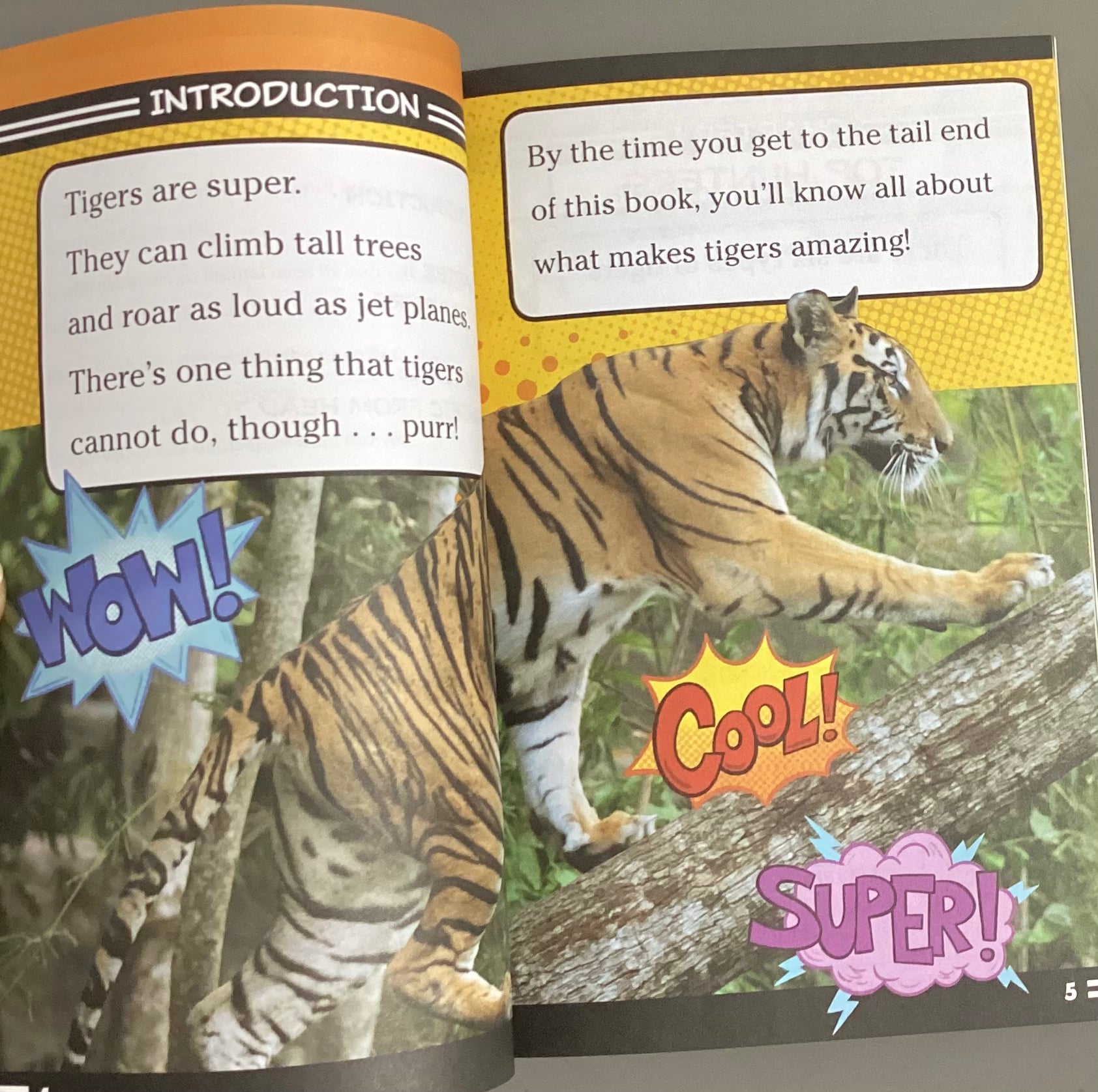 Ready To Read - Level 2 - Super Facts For Super Kids - Tiger Can't Pur