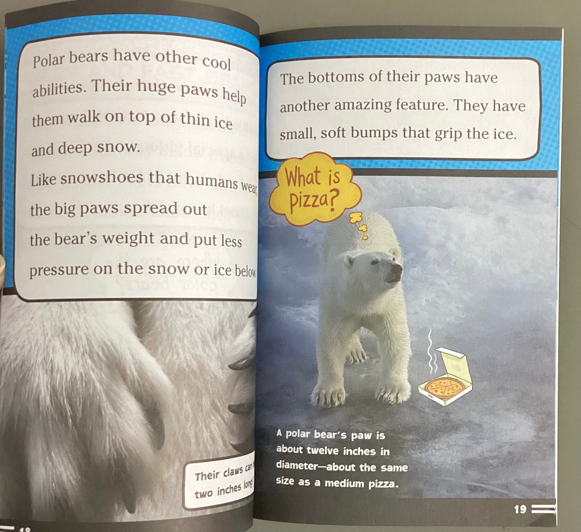 Ready To Read - Level 2 - Super Facts For Super Kids - Polar Bear Fur