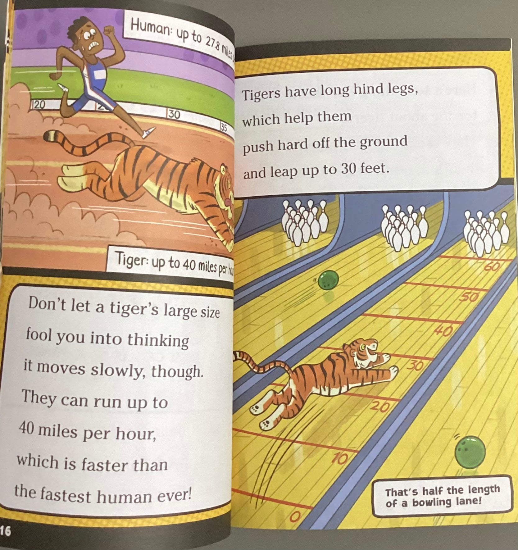 Ready To Read - Level 2 - Super Facts For Super Kids - Tiger Can't Pur
