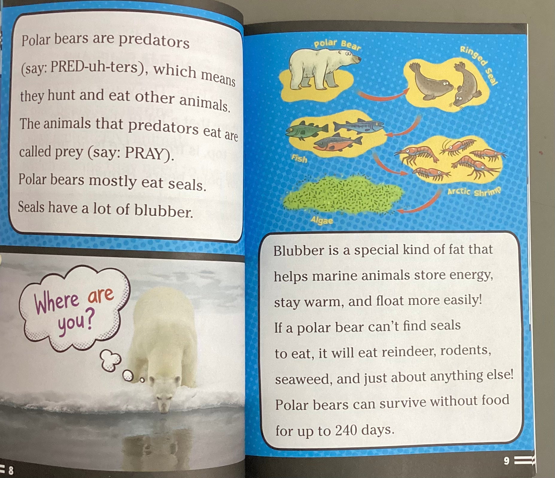 Ready To Read - Level 2 - Super Facts For Super Kids - Polar Bear Fur