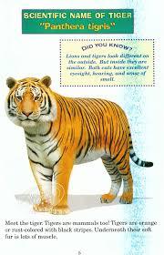 Scholastic - Who Would Win? Lion vs. Tiger